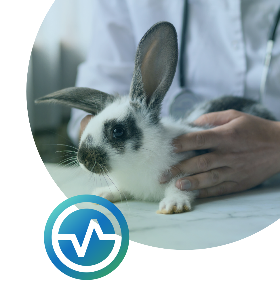 Vet Access | Animal Health Market Research Provider