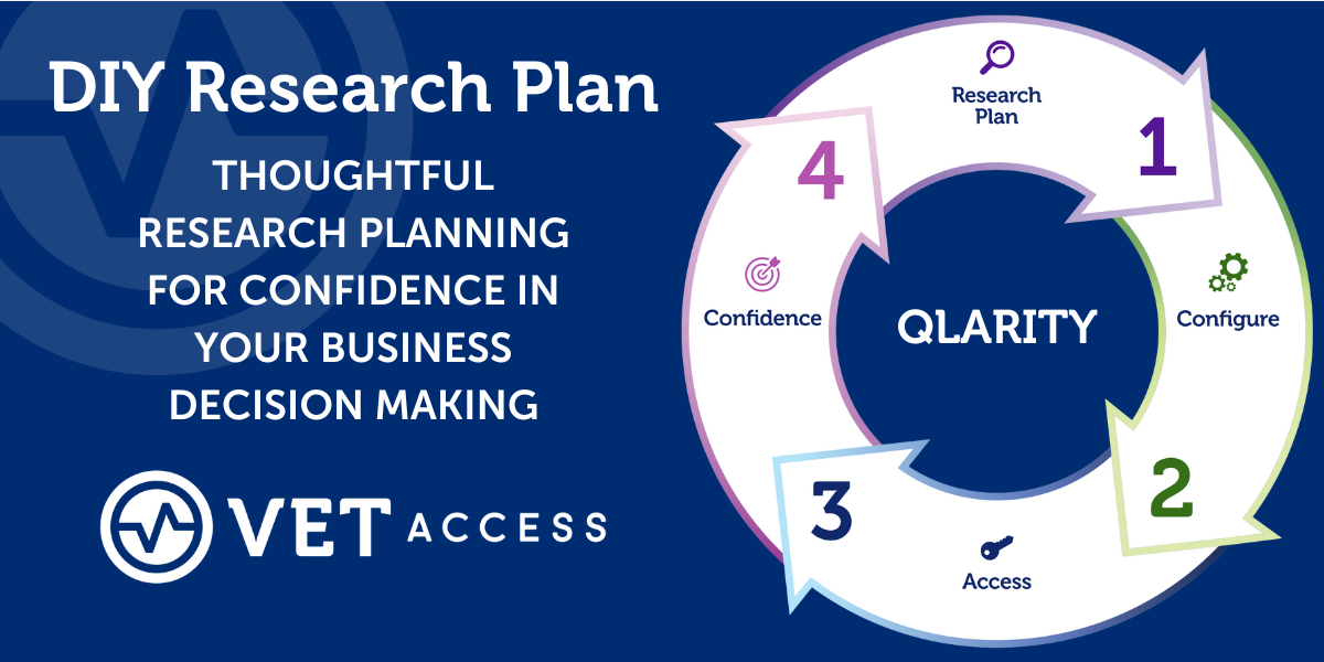 Vet Access DIY Research Plan